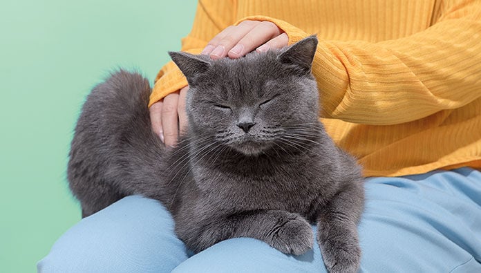 Shop Quest Health | Quest®