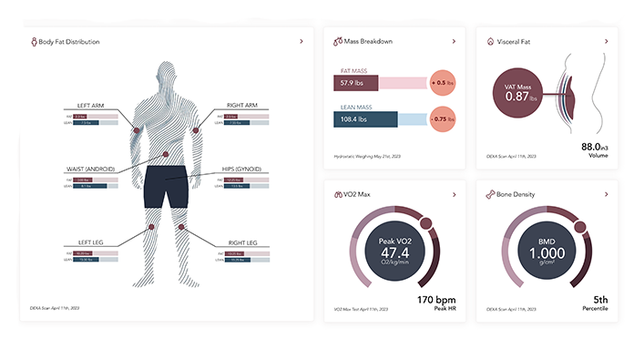 Fitnesity Dexa Scan Sample